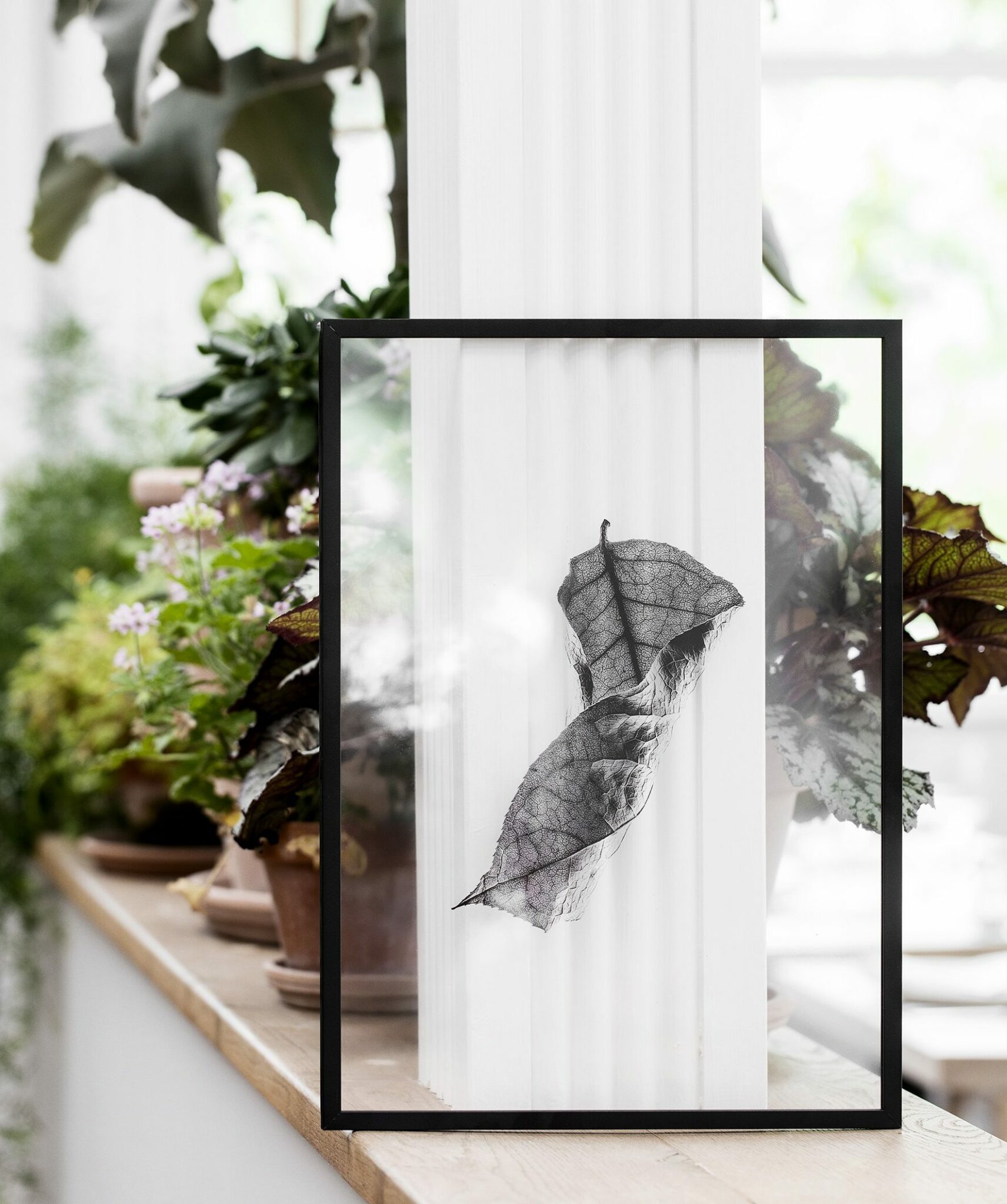 MOEBE Floating Leaves poster 02 - A4 poster | Online byJensen.nl